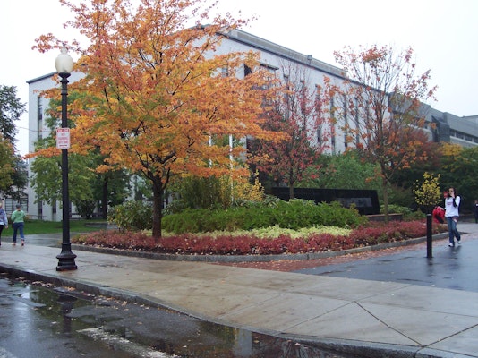 Northeastern University - Net Price, Tuition, Cost to Attend, Financial ...