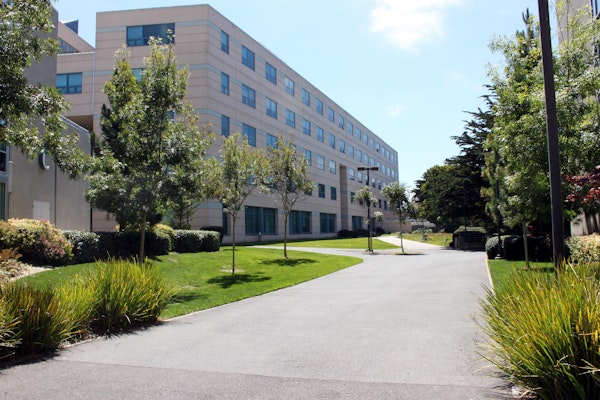 San Francisco State University - Admission Requirements, SAT, ACT, GPA ...