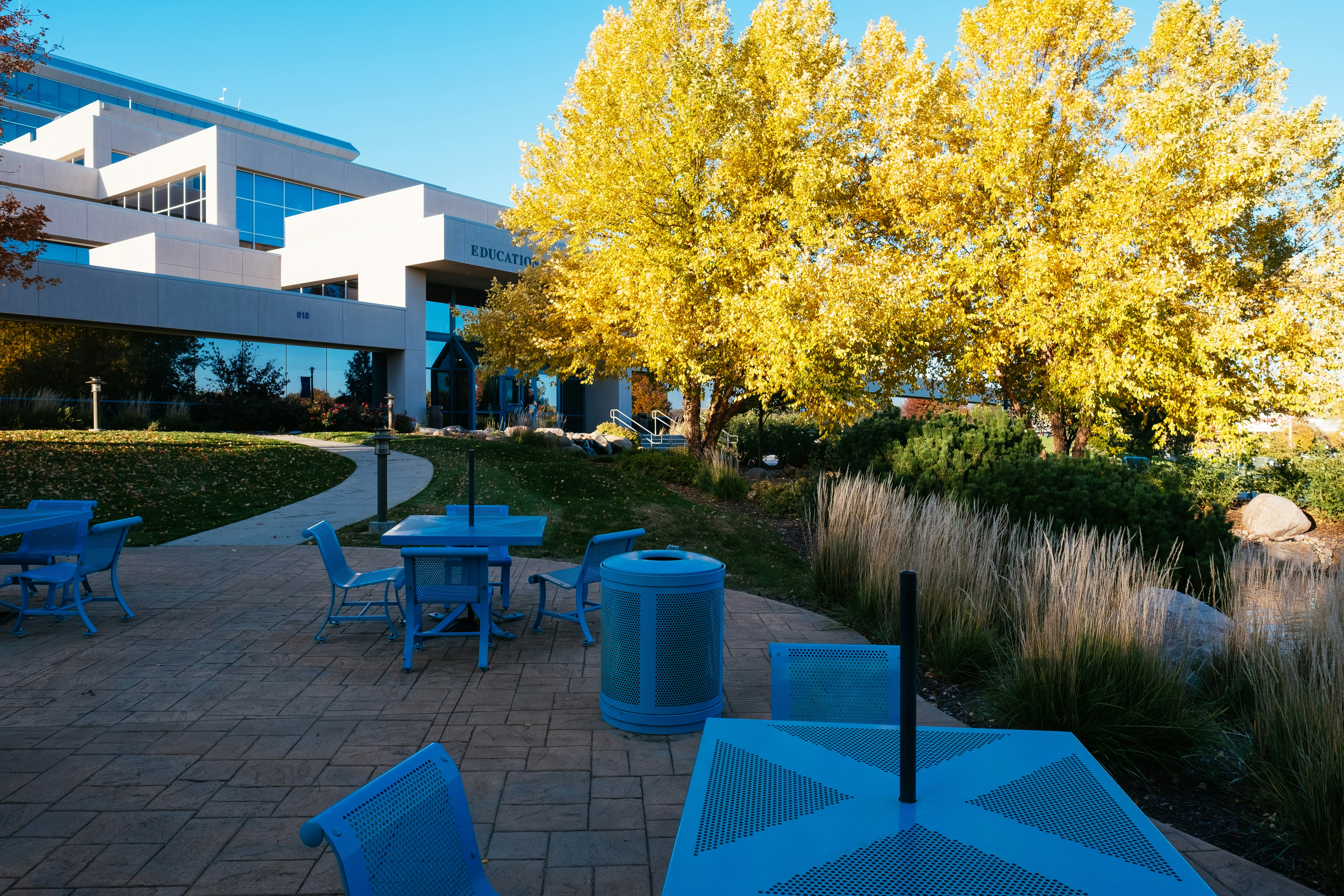 Where is Bellevue University located?