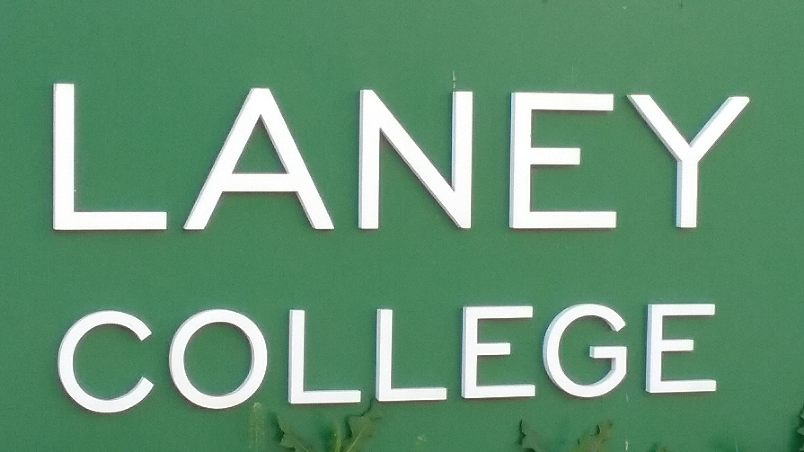 Popular Community Colleges in San Francisco for 2022