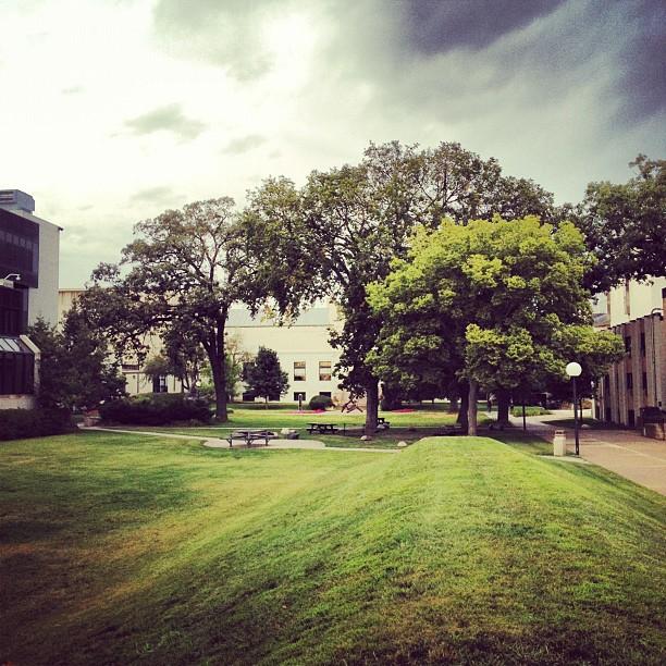 Private Colleges in 