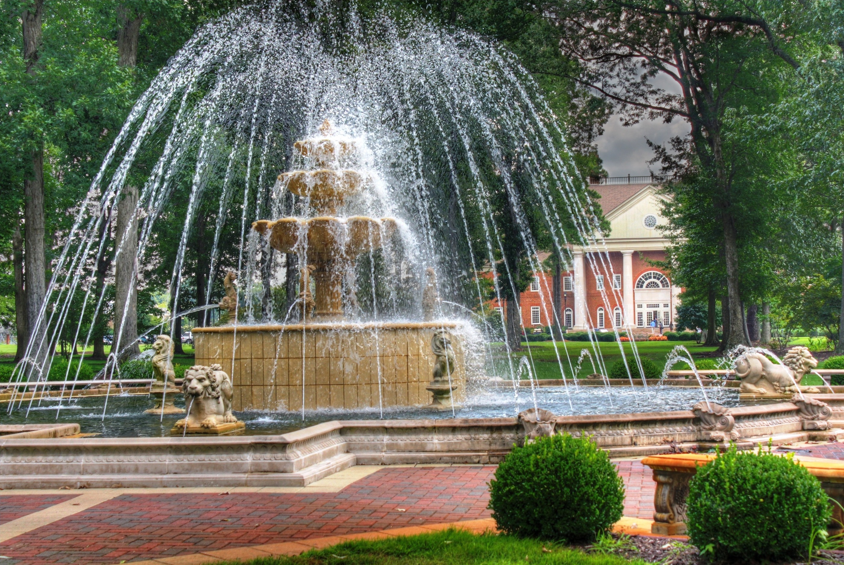 The Best Colleges in Virginia Beach for 2025