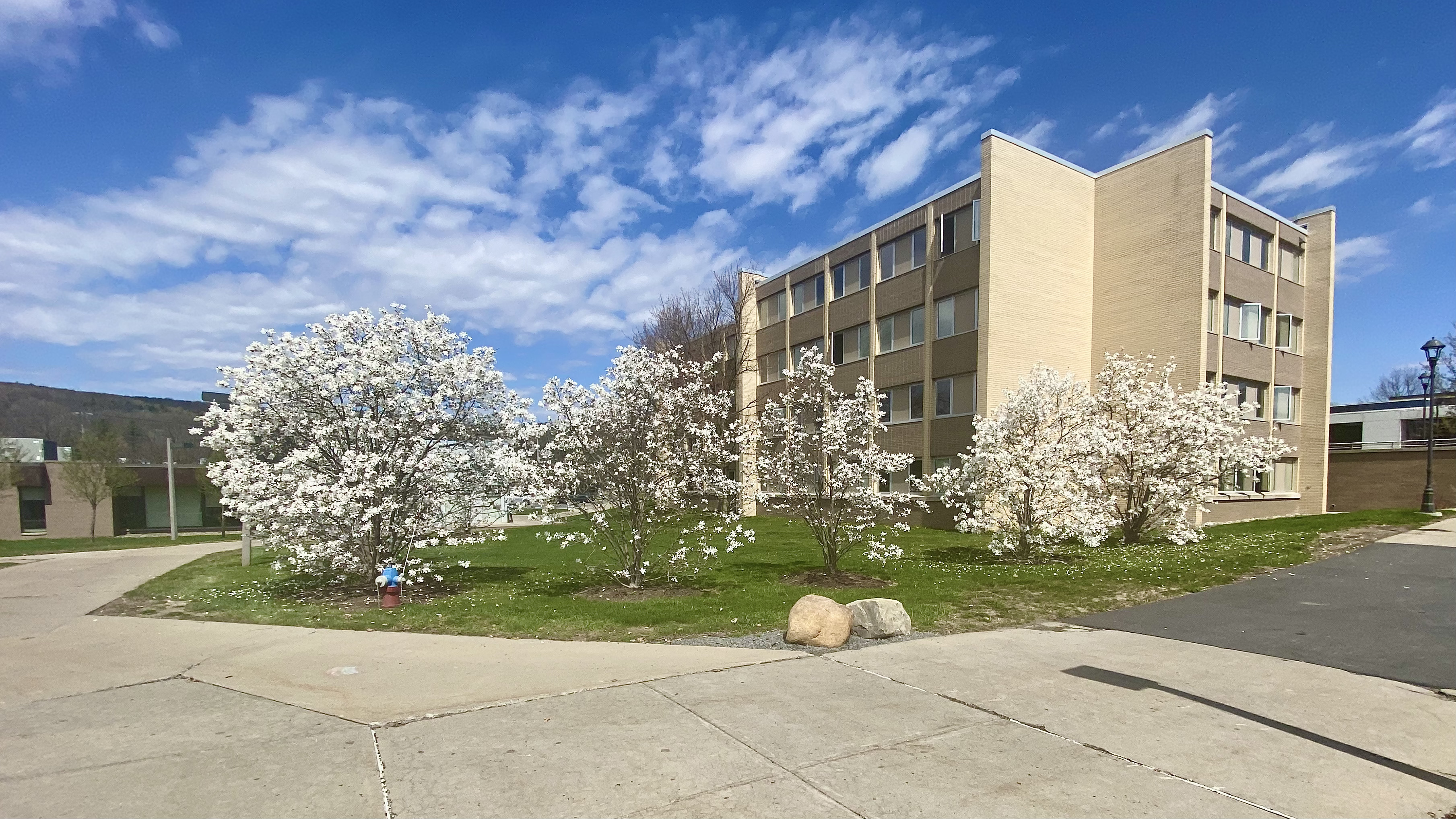 SUNY College of Technology at Delhi - Admission Requirements, SAT, ACT ...