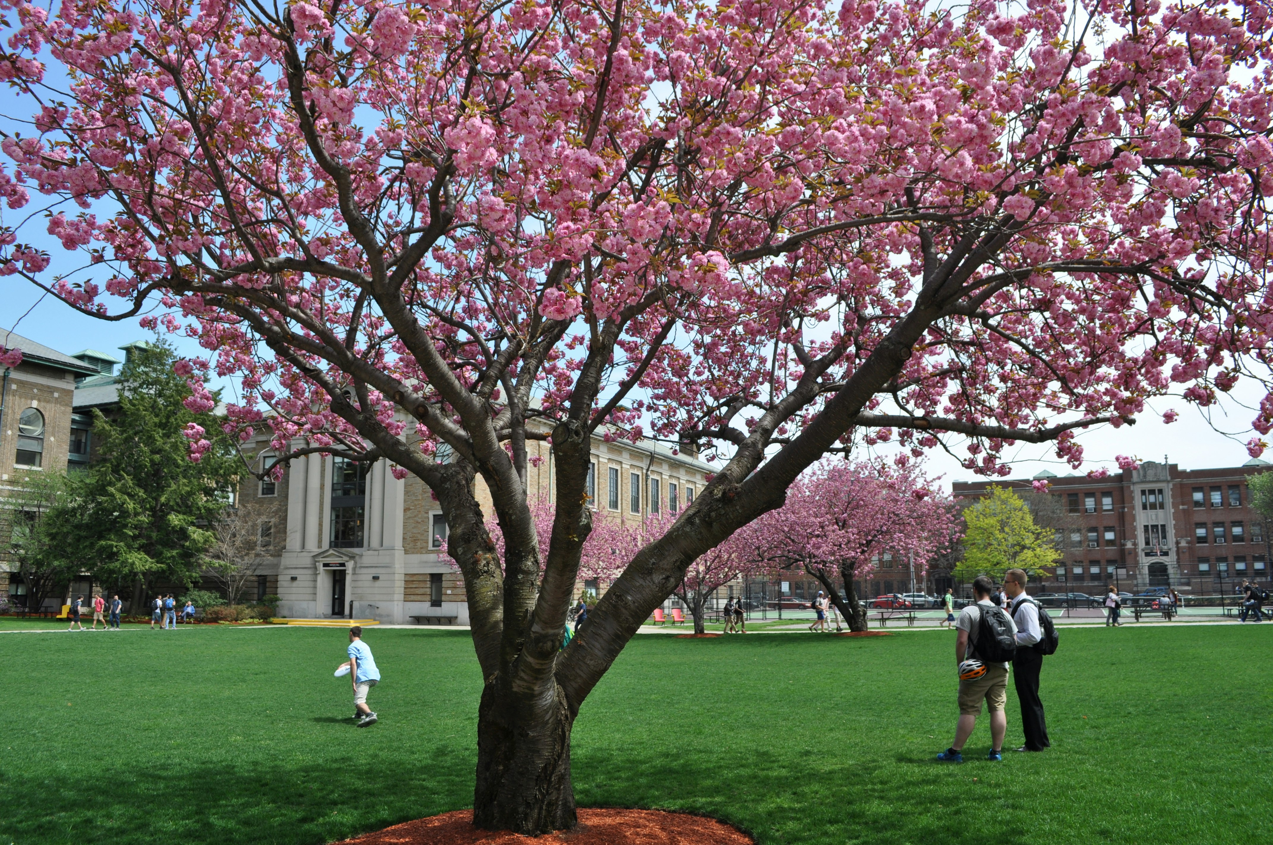 Wentworth Institute of Technology - Admission Requirements, SAT, ACT ...