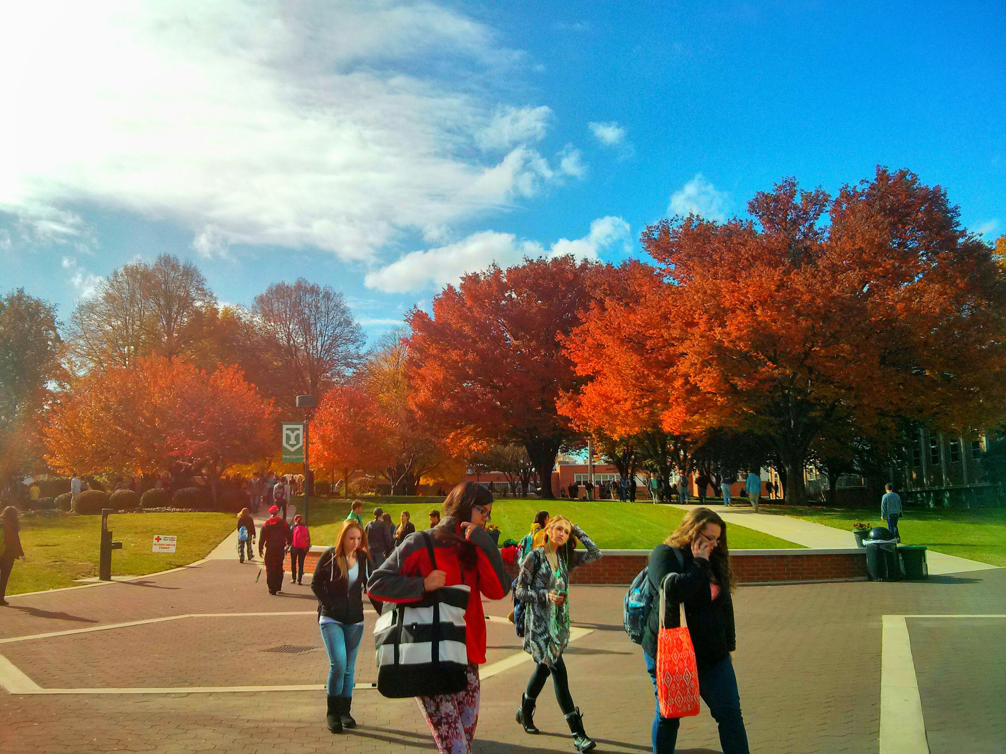 York College Pennsylvania GPA Calculator